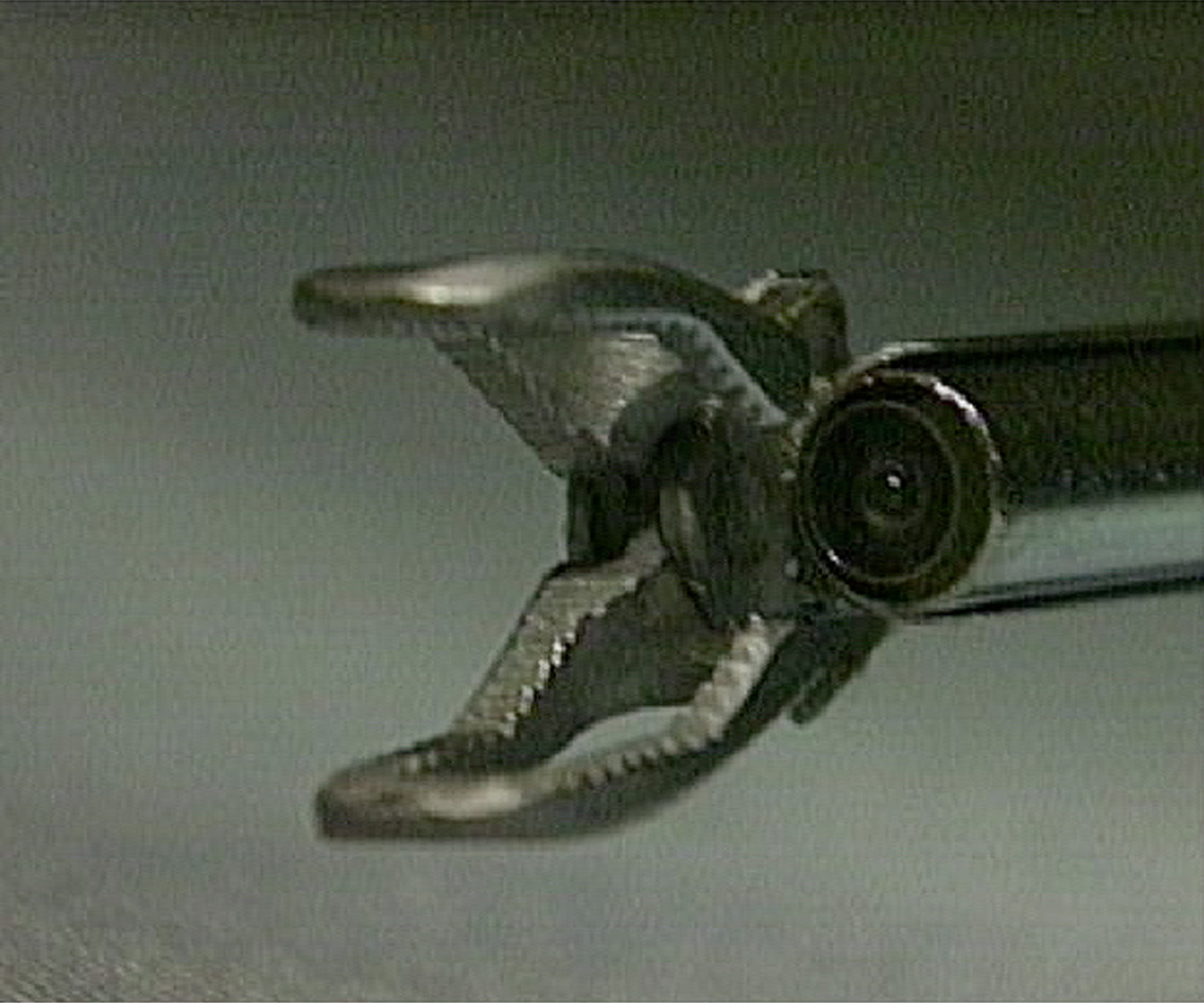 Index of /fileadmin/user_upload/Uploaded_files/tmp/david_albert/david ...